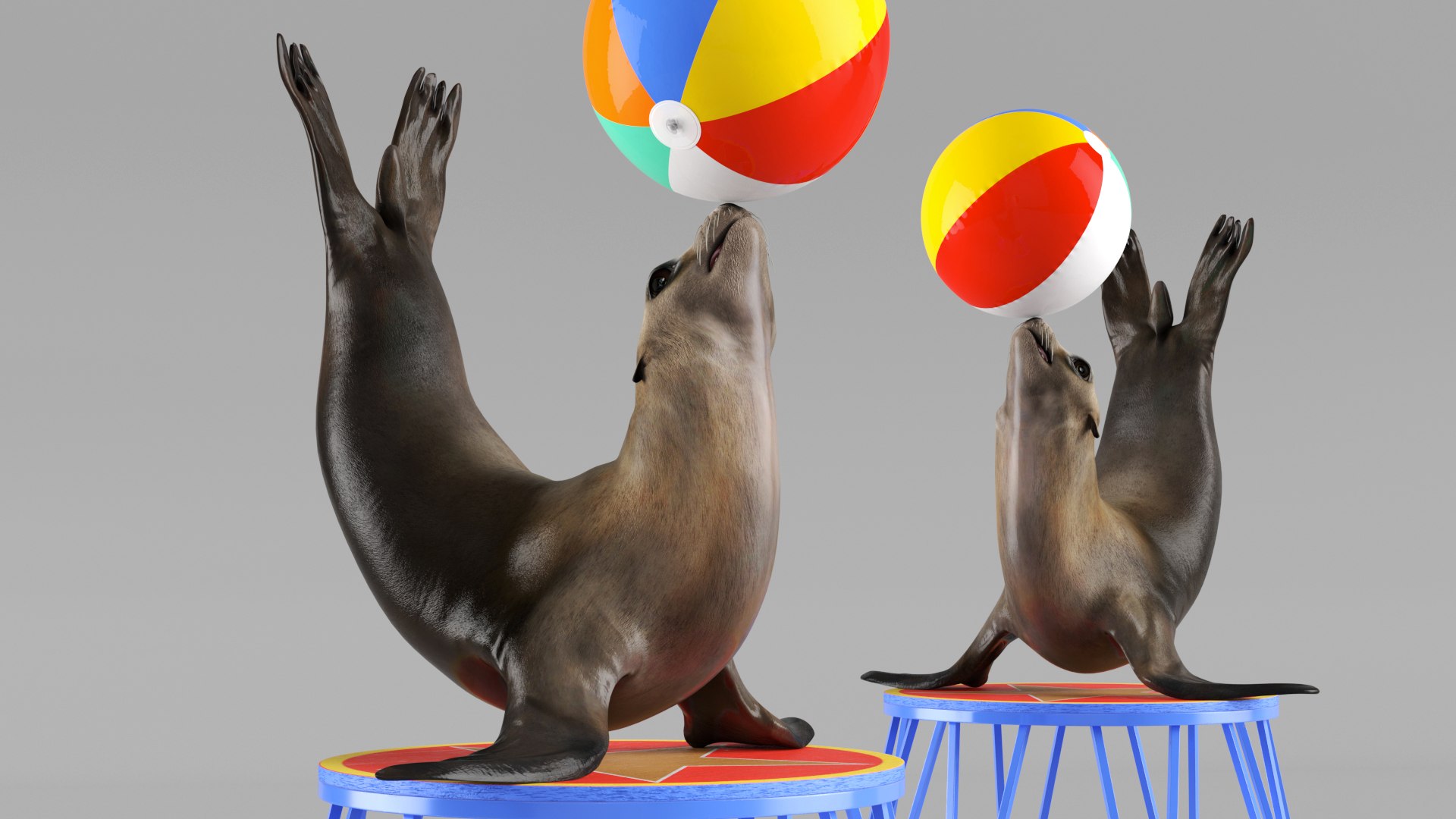 Seal On A Circus Stand 3D Model - TurboSquid 2289858