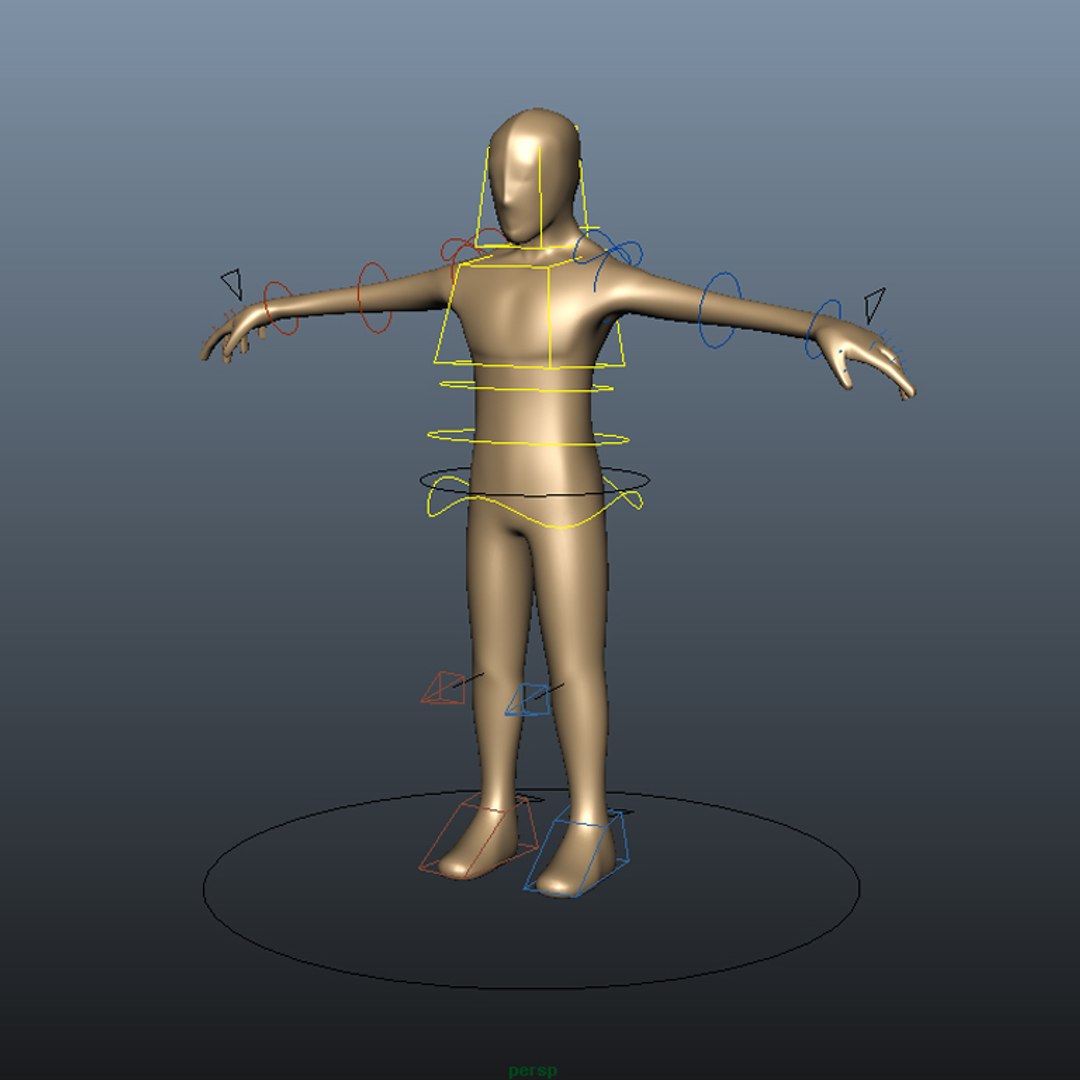 3d Model Joe Pleb Human V2