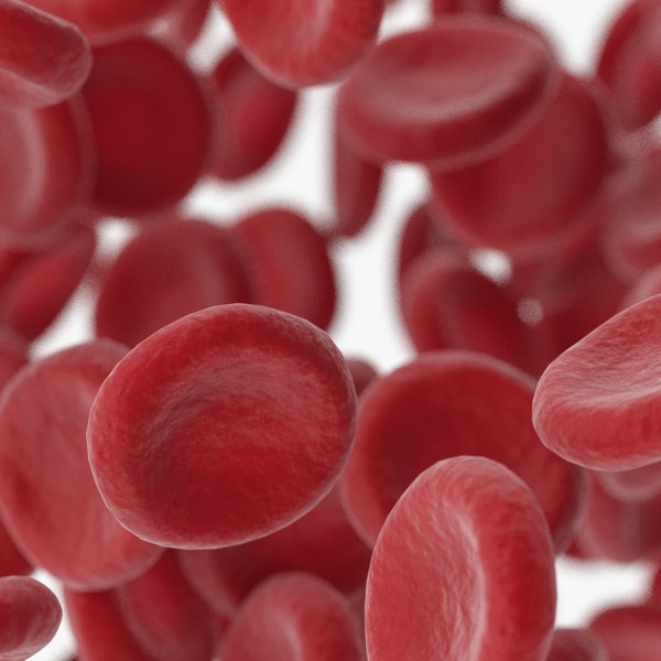 Free Low Poly 3D Anatomie-Red-Blood-Cell Models | TurboSquid