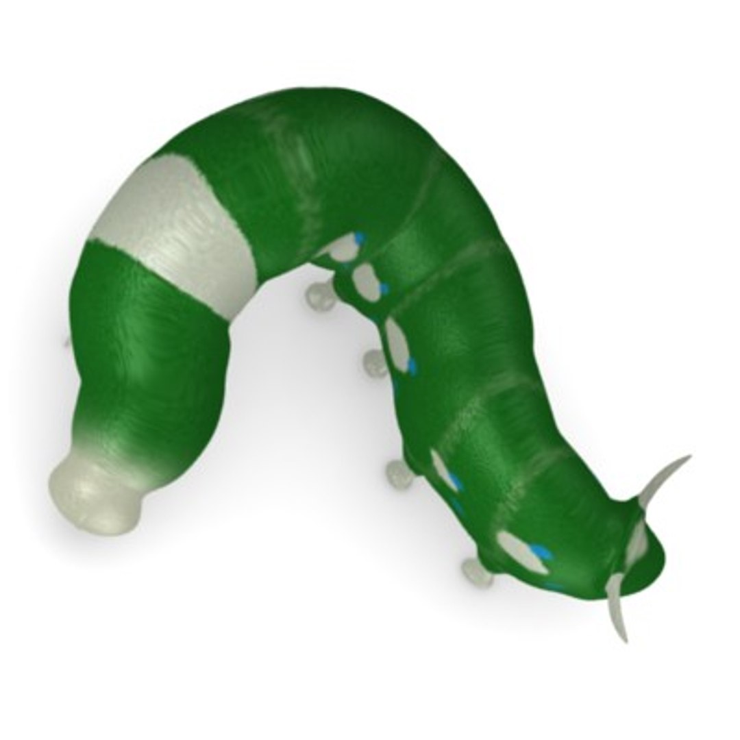Butterfly Worm 3d Model