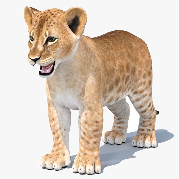 Lion 3D Models for Download | TurboSquid