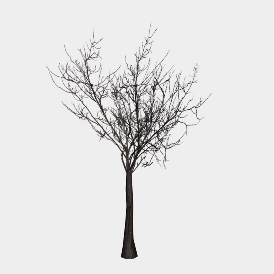 Free Tree Branch 3d Model