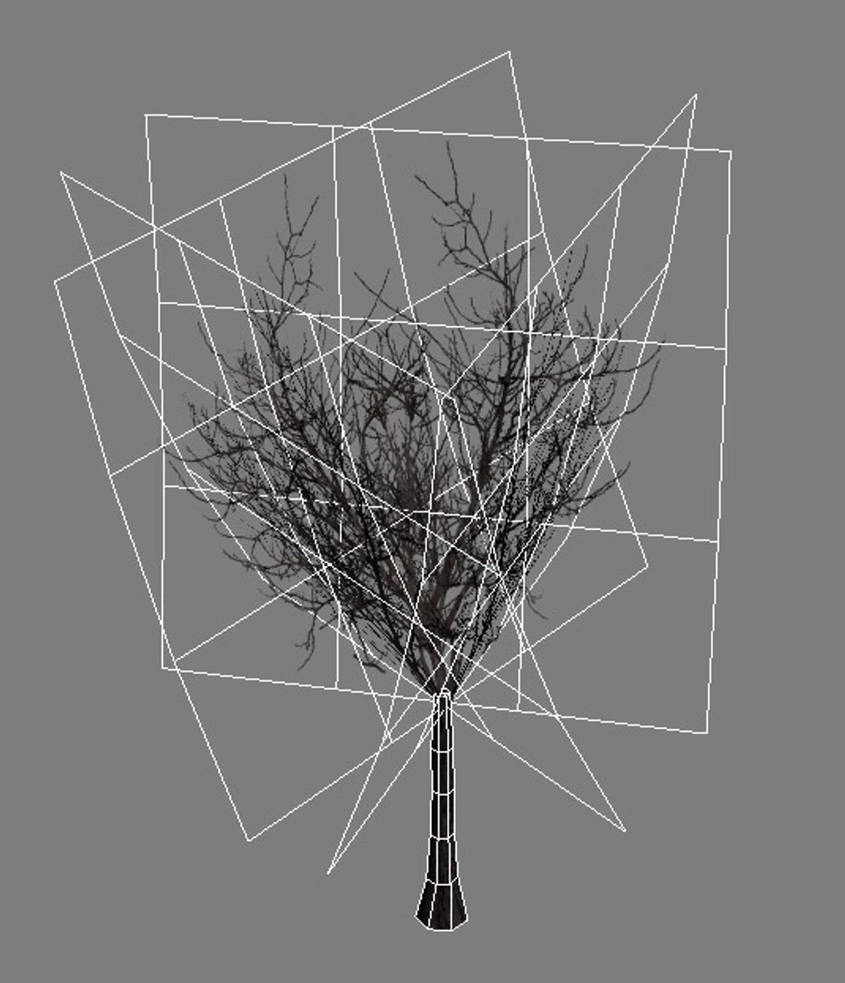 Free Tree Branch 3d Model