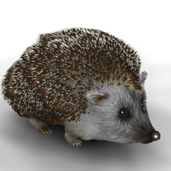 max hair fur hedgehog