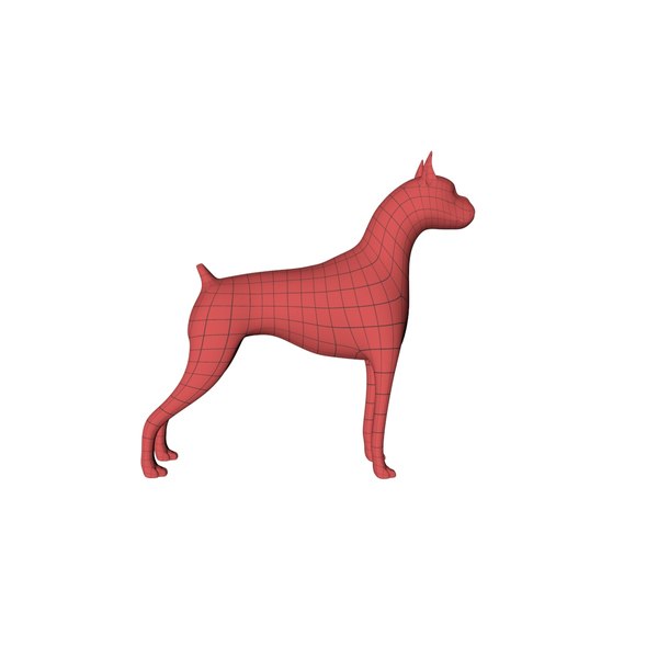 3d base mesh poodle model
