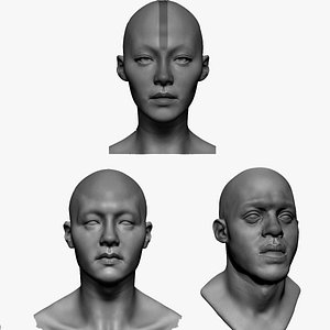 Free STL Head Models | TurboSquid