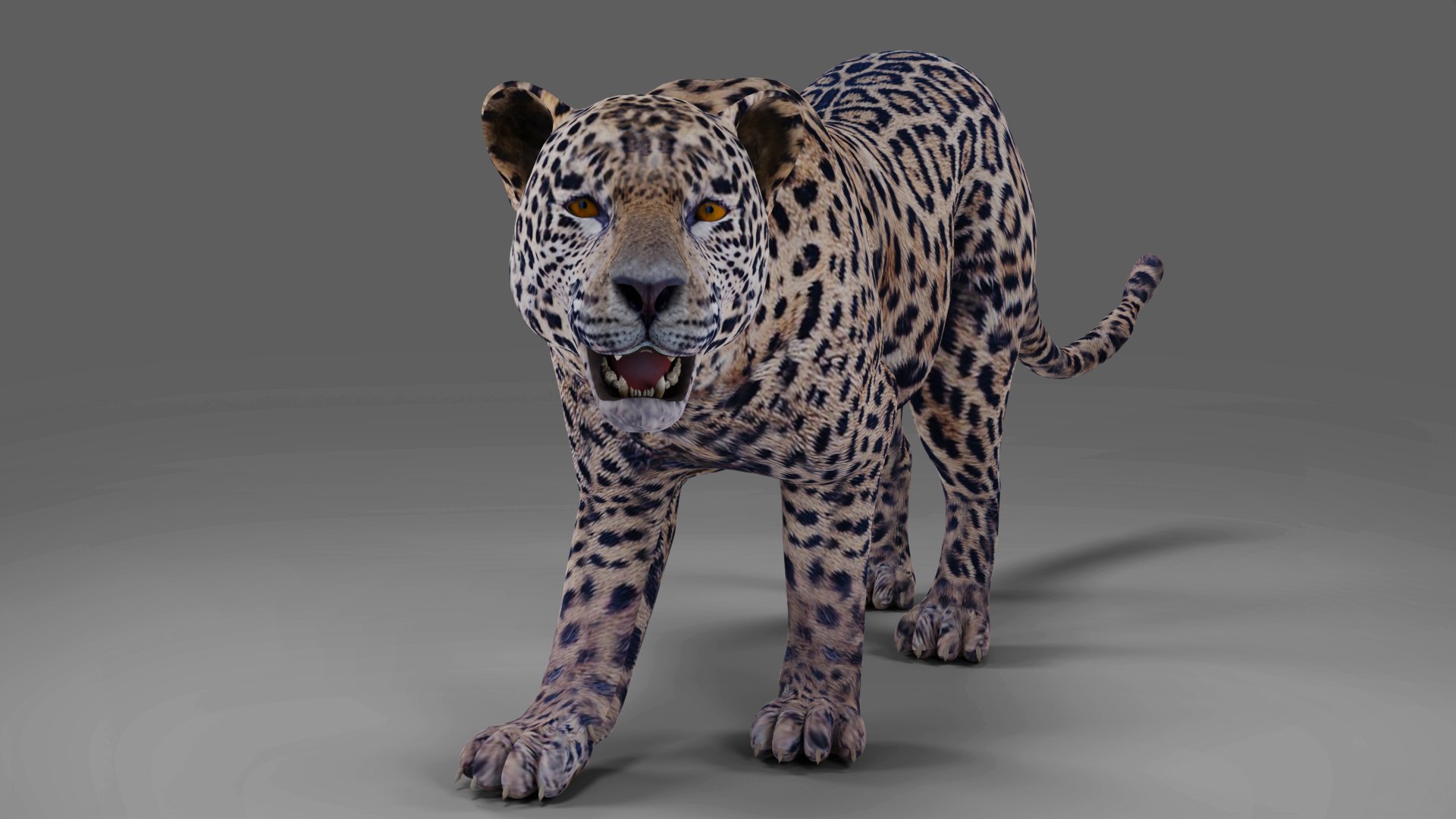 Jaguar V01 Rigged and Animation in Blender Unity model - TurboSquid 2097666
