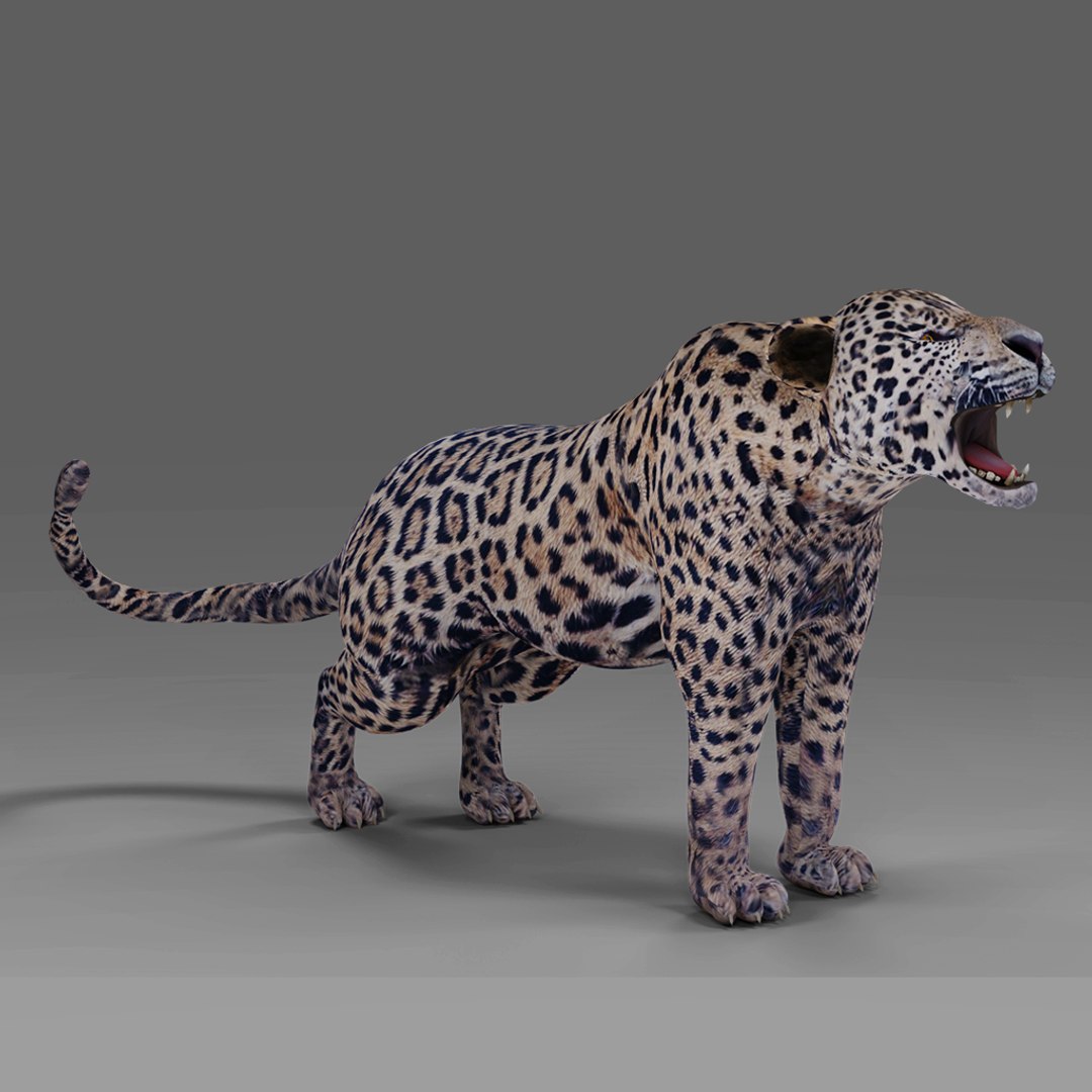 Jaguar V01 Rigged And Animation In Blender Unity Model - TurboSquid 2097666