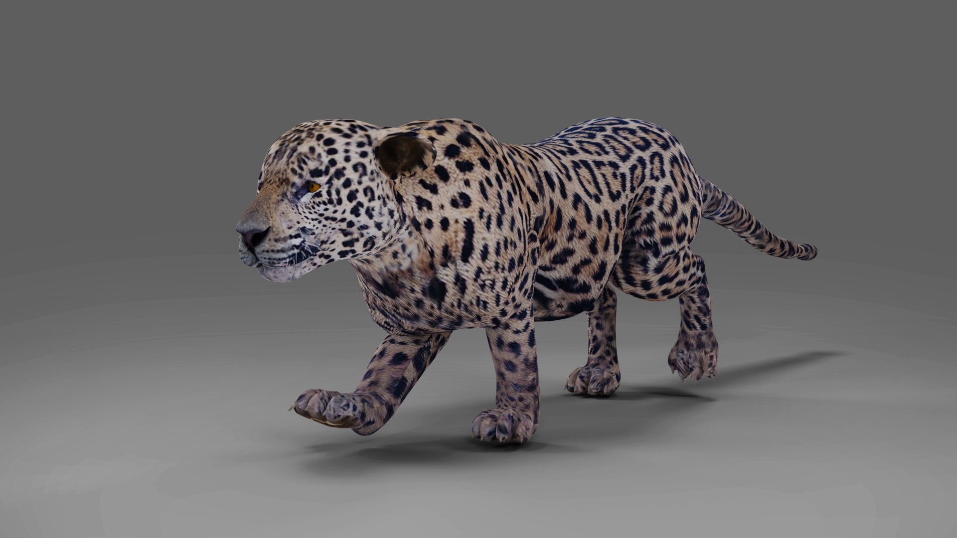 Jaguar V01 Rigged And Animation In Blender Unity Model - TurboSquid 2097666
