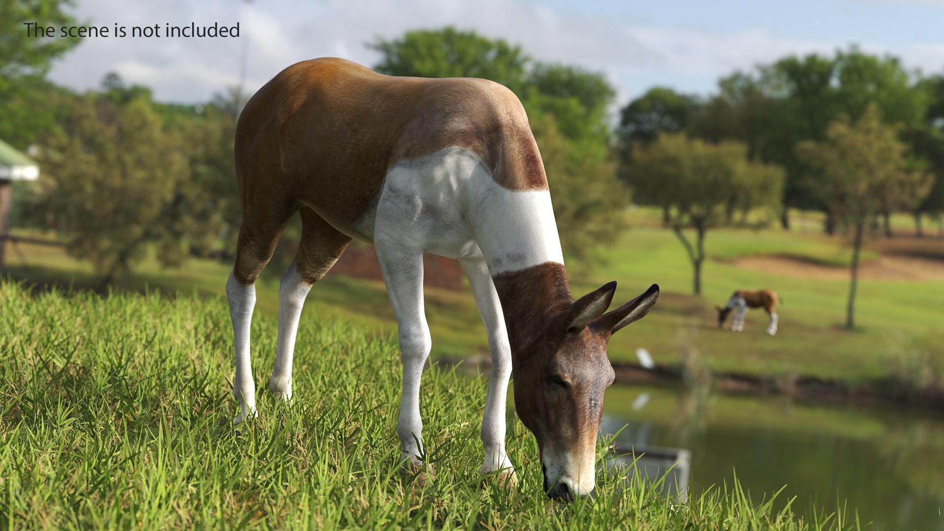 3D Eating Mule Model - TurboSquid 2280229