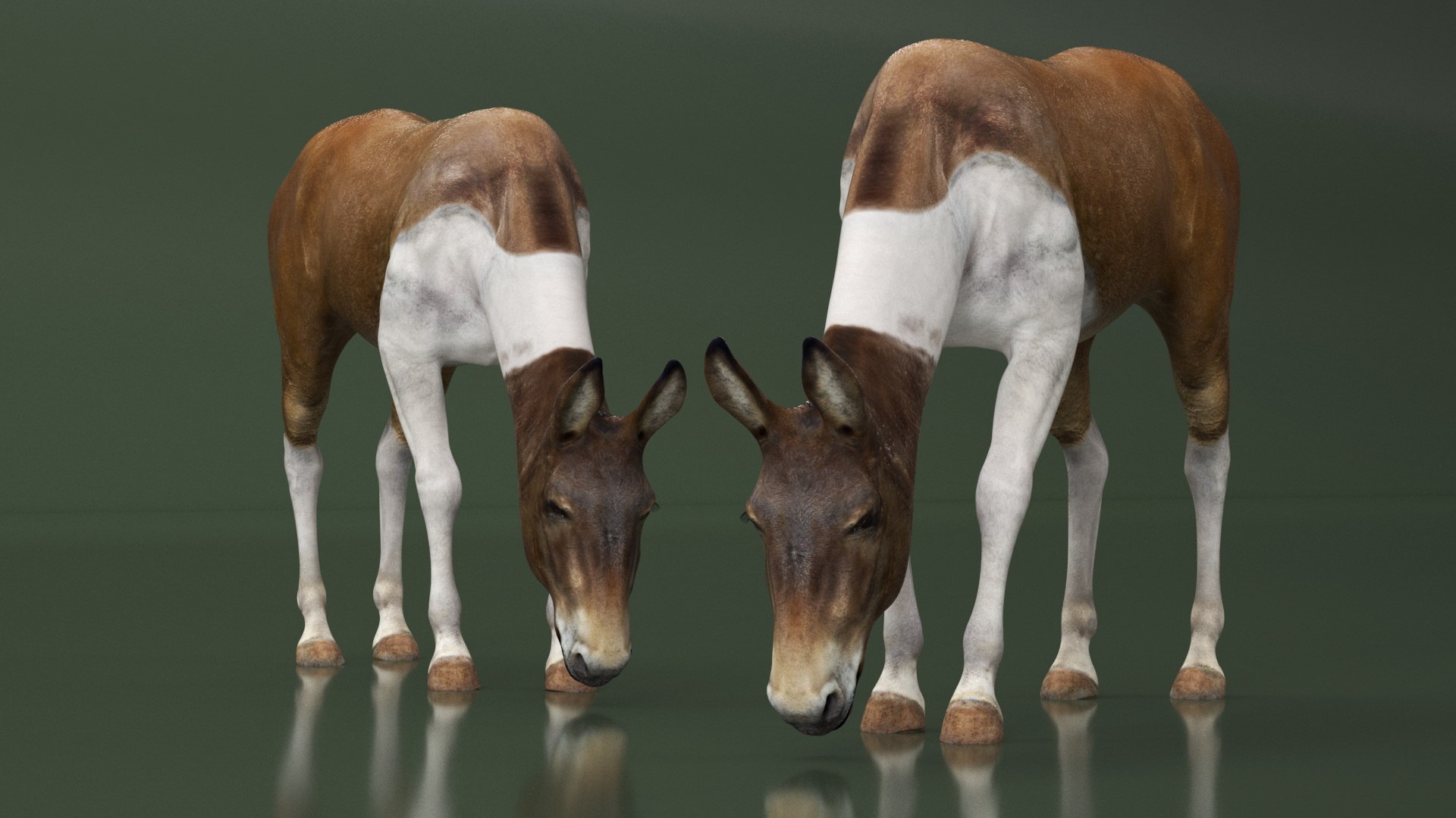 3D Eating Mule Model - TurboSquid 2280229