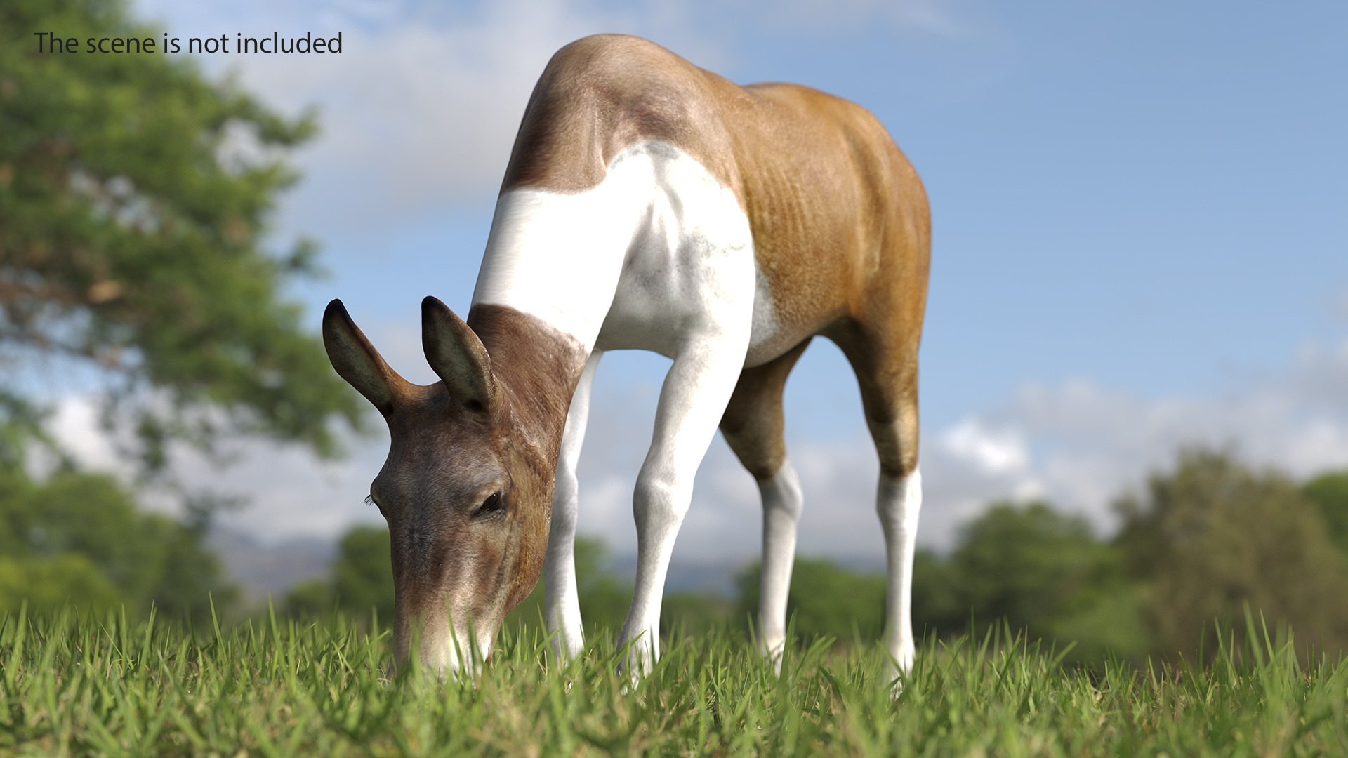 3D Eating Mule Model - TurboSquid 2280229
