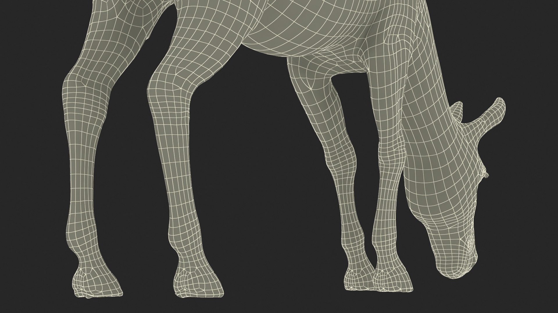 3D Eating Mule Model - TurboSquid 2280229