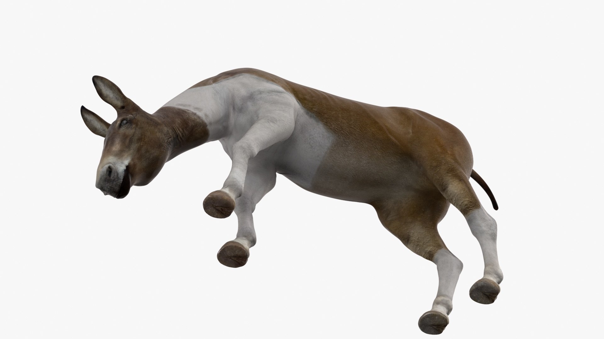 3D Eating Mule Model - TurboSquid 2280229