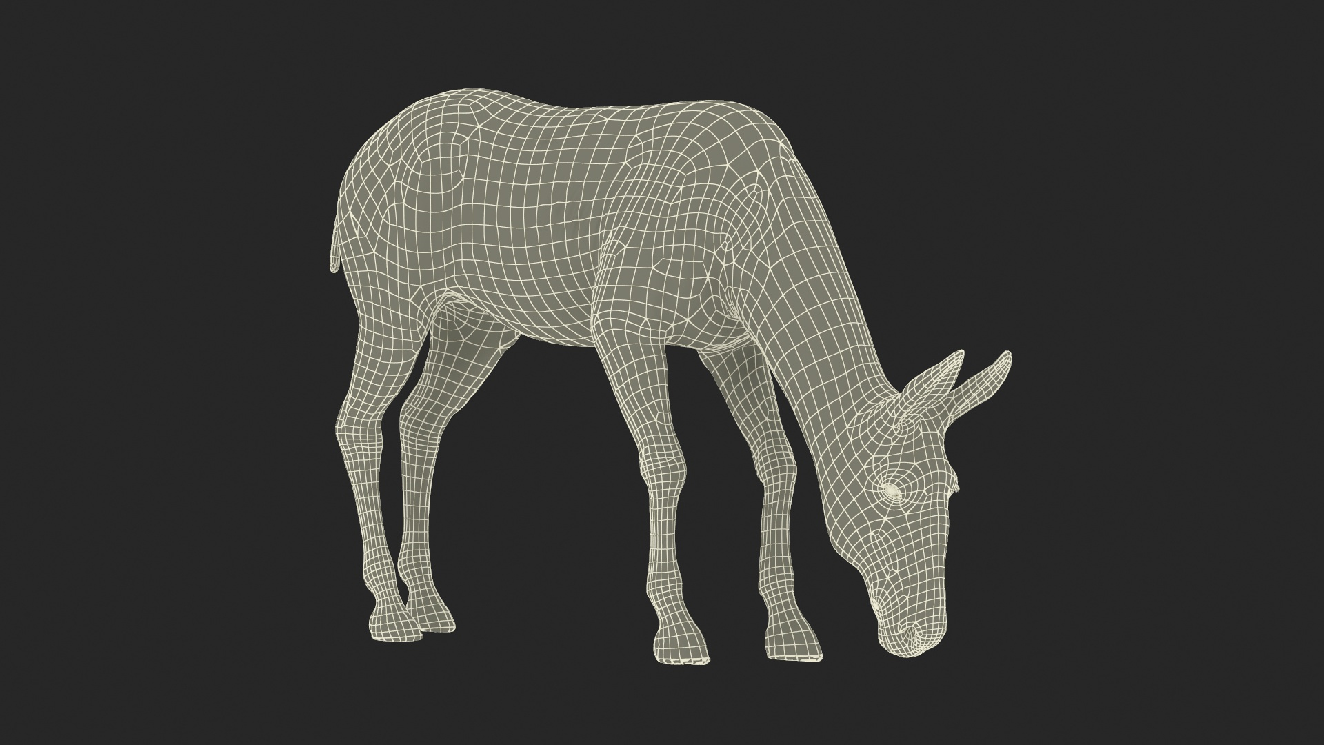 3D Eating Mule Model - TurboSquid 2280229