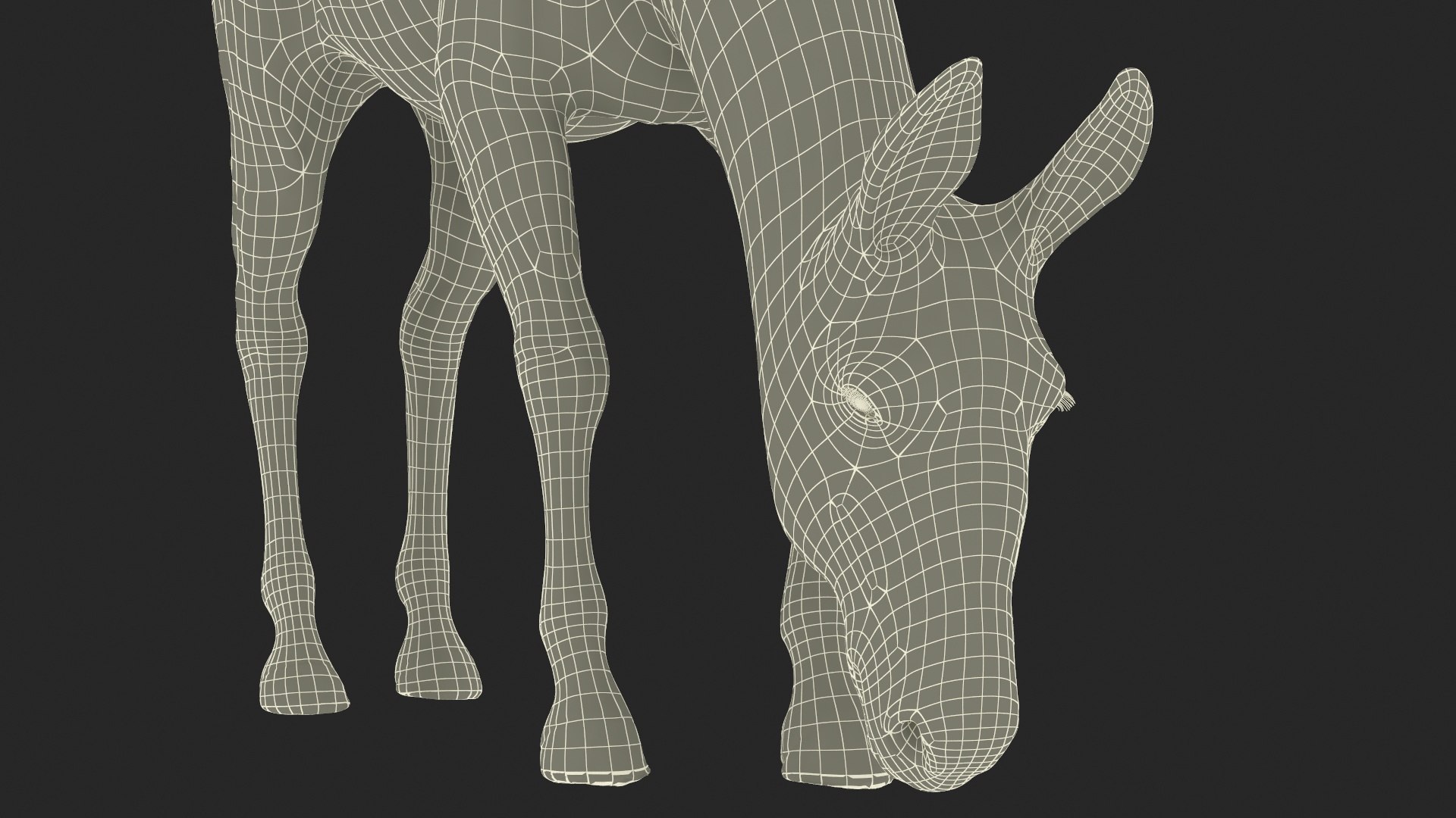 3D Eating Mule Model - TurboSquid 2280229