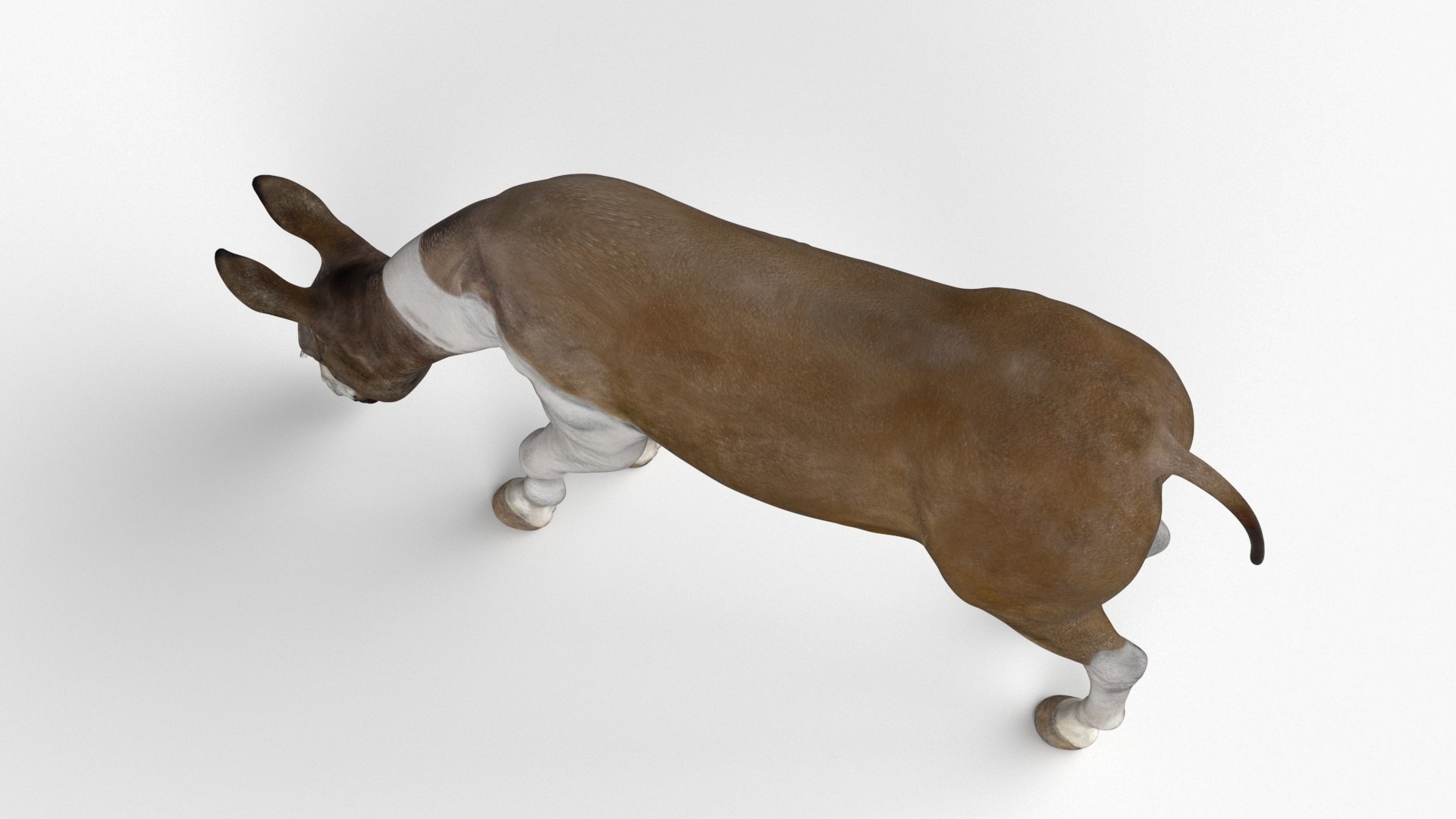 3D Eating Mule Model - TurboSquid 2280229