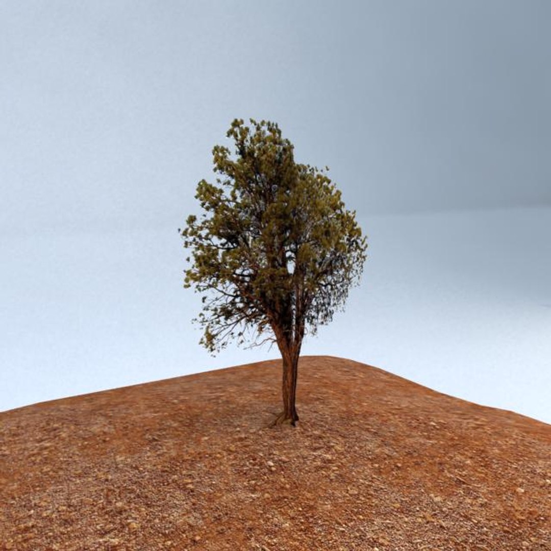 tree environment 3d model