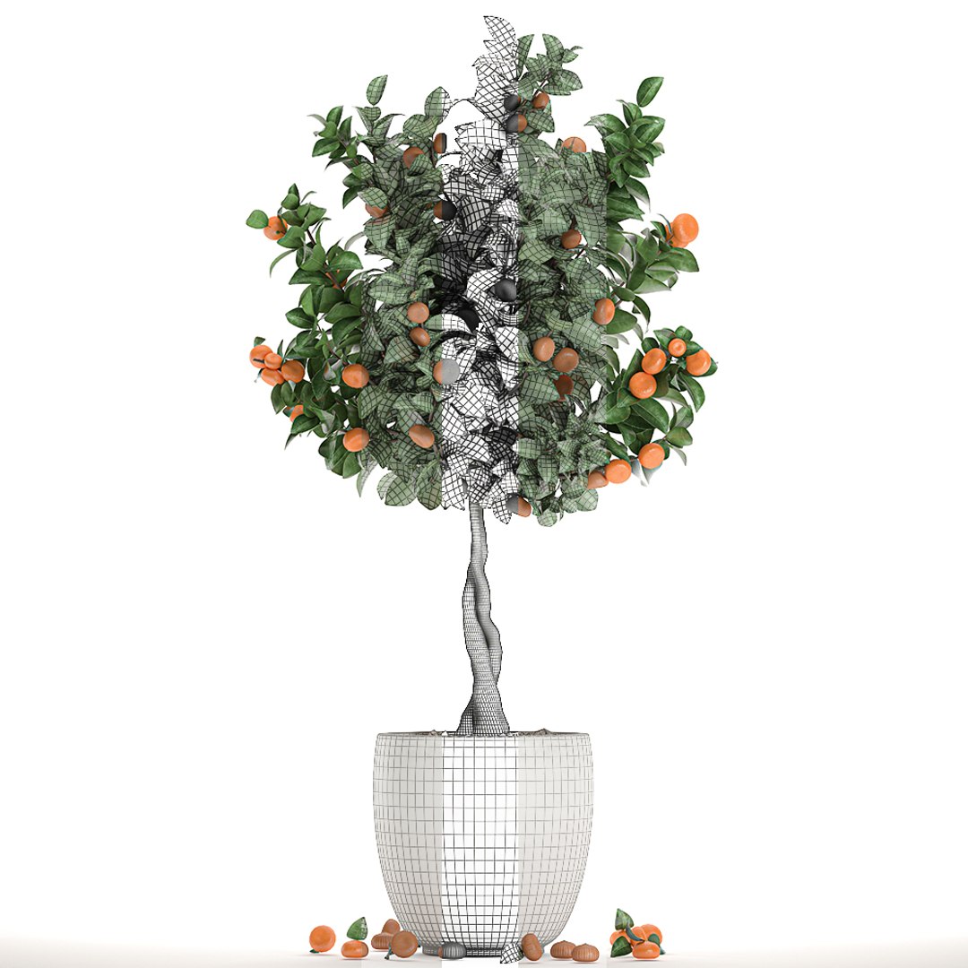 Decorative Tree Interior White 3D Model - TurboSquid 1604791