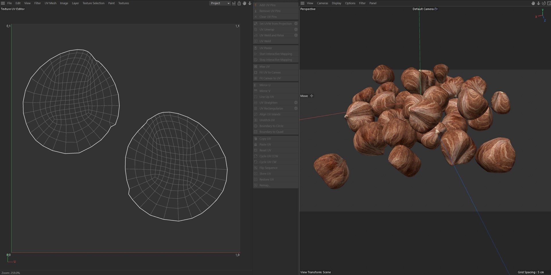 Hazelnut Mega Collection 3D - TurboSquid 2408175