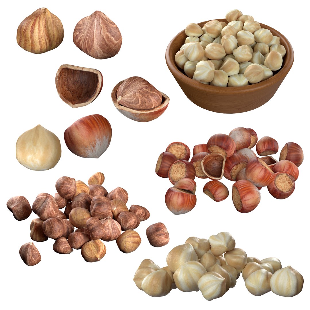 Hazelnut Mega Collection 3D - TurboSquid 2408175
