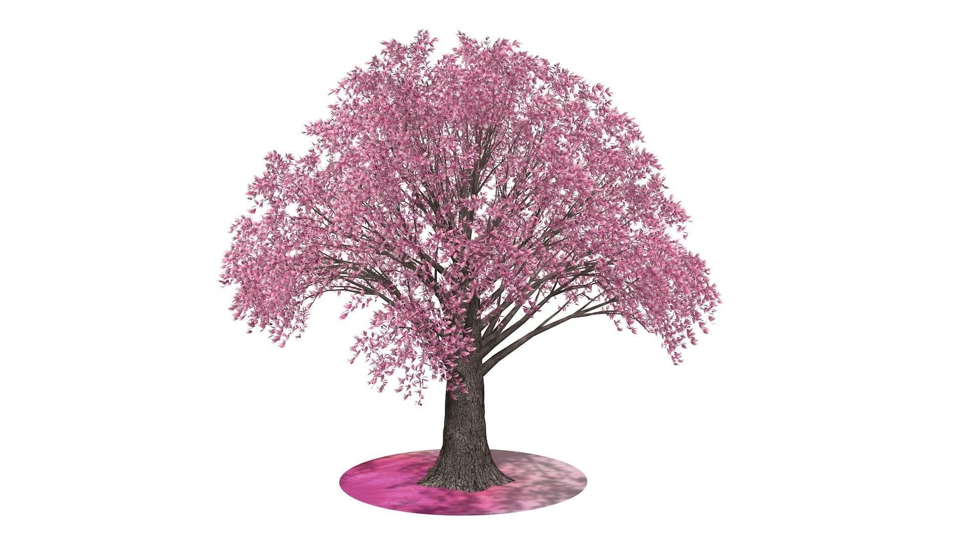 3D Pink Tree - TurboSquid 1693652