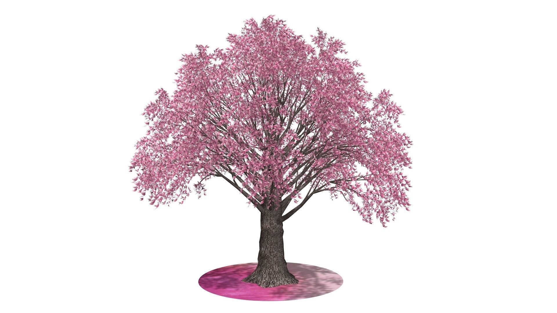 3D Pink Tree - TurboSquid 1693652