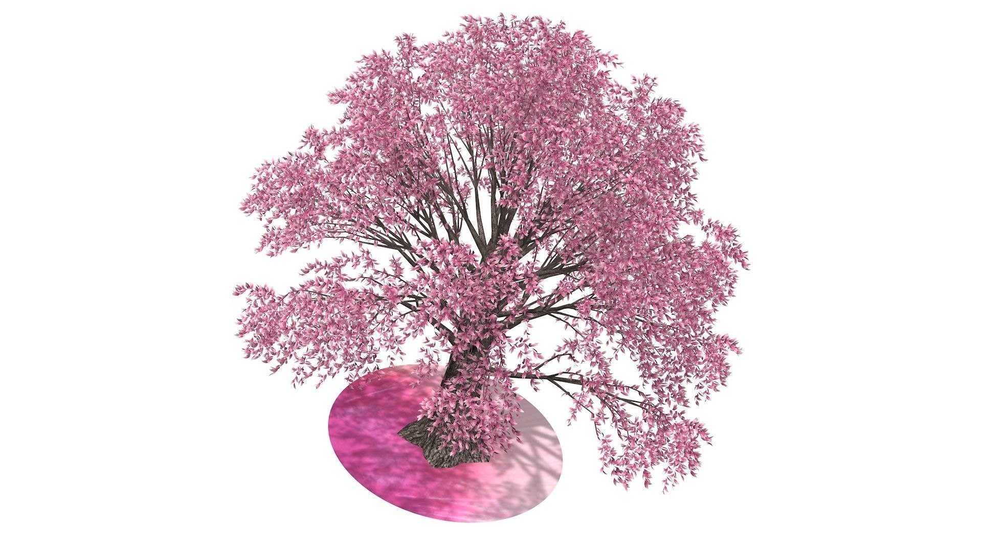 3D Pink Tree - TurboSquid 1693652