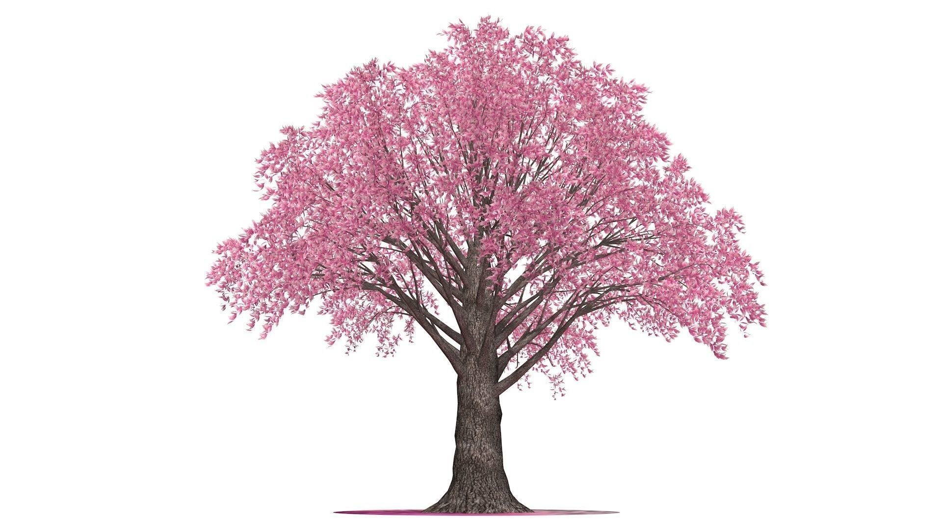 3D Pink Tree - TurboSquid 1693652