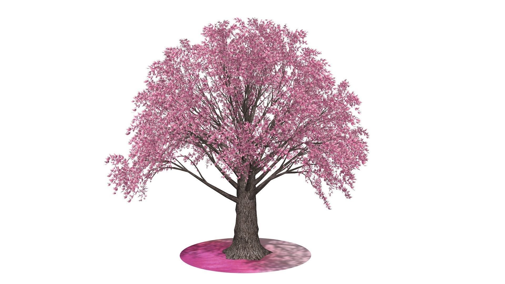 3D Pink Tree - TurboSquid 1693652
