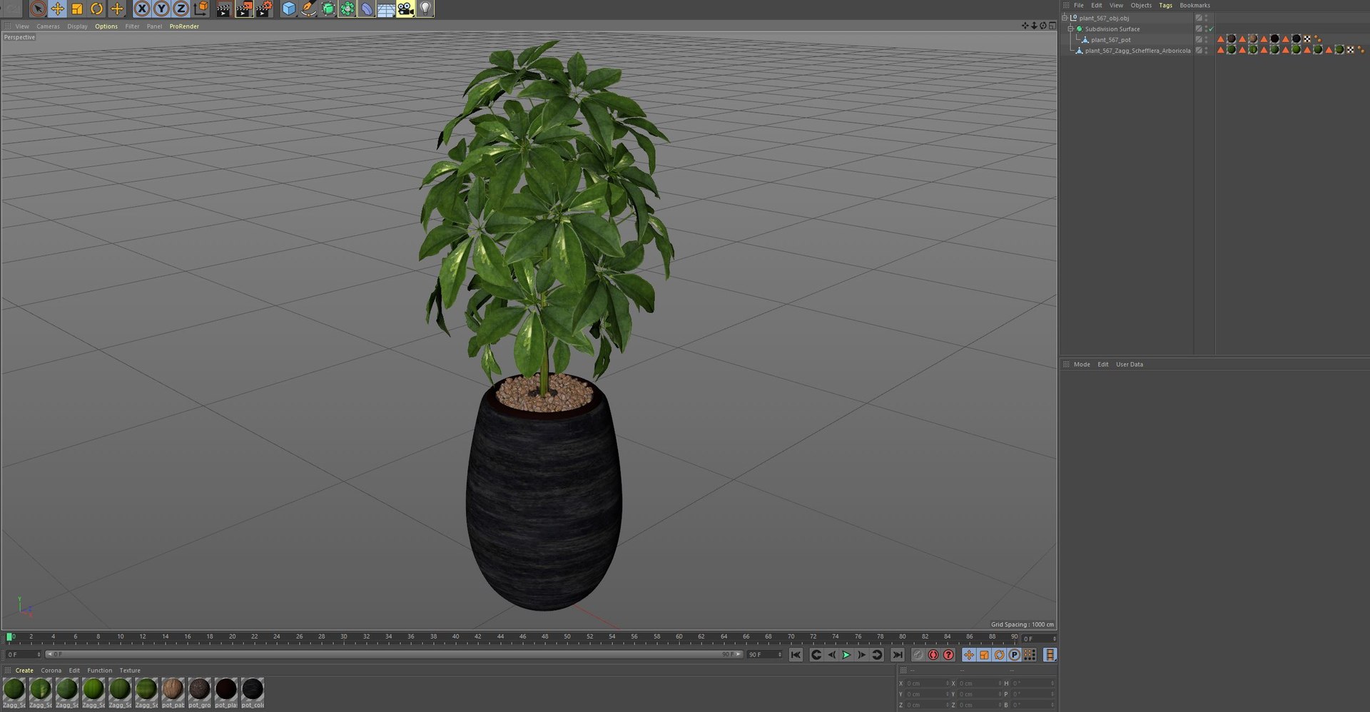 Plants Collection 567 Model - TurboSquid 1860153