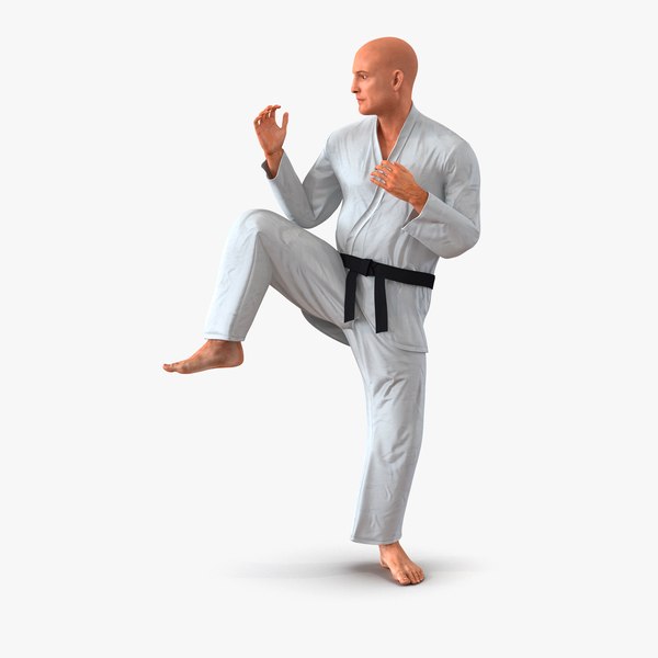 karate fighter pose 3 3d model