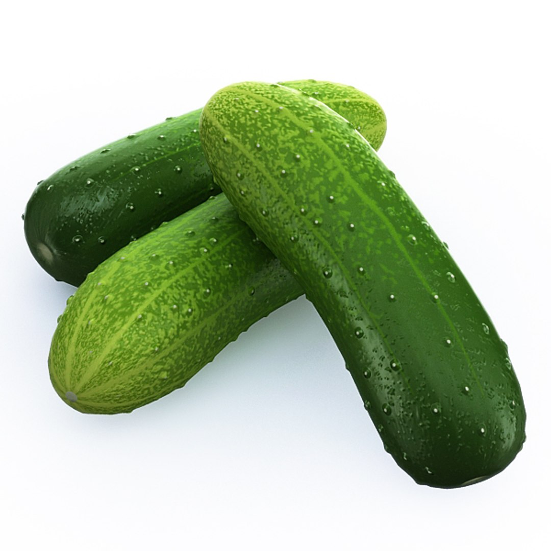 3ds Max Cucumber Use