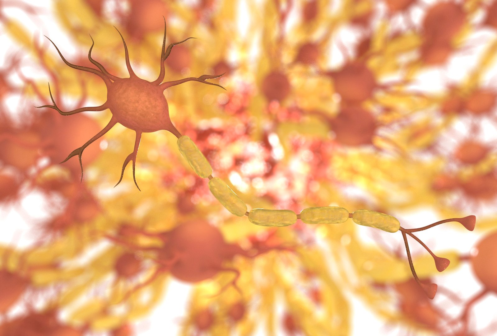 Neuron Nerve Cell 3D Model - TurboSquid 1340192