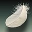 Max Realistic Bird Feather