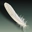 Max Realistic Bird Feather
