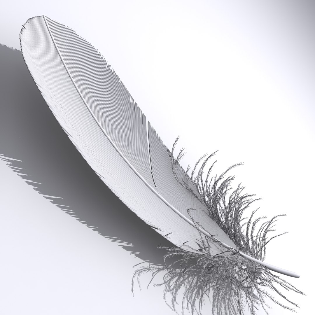 Max Realistic Bird Feather