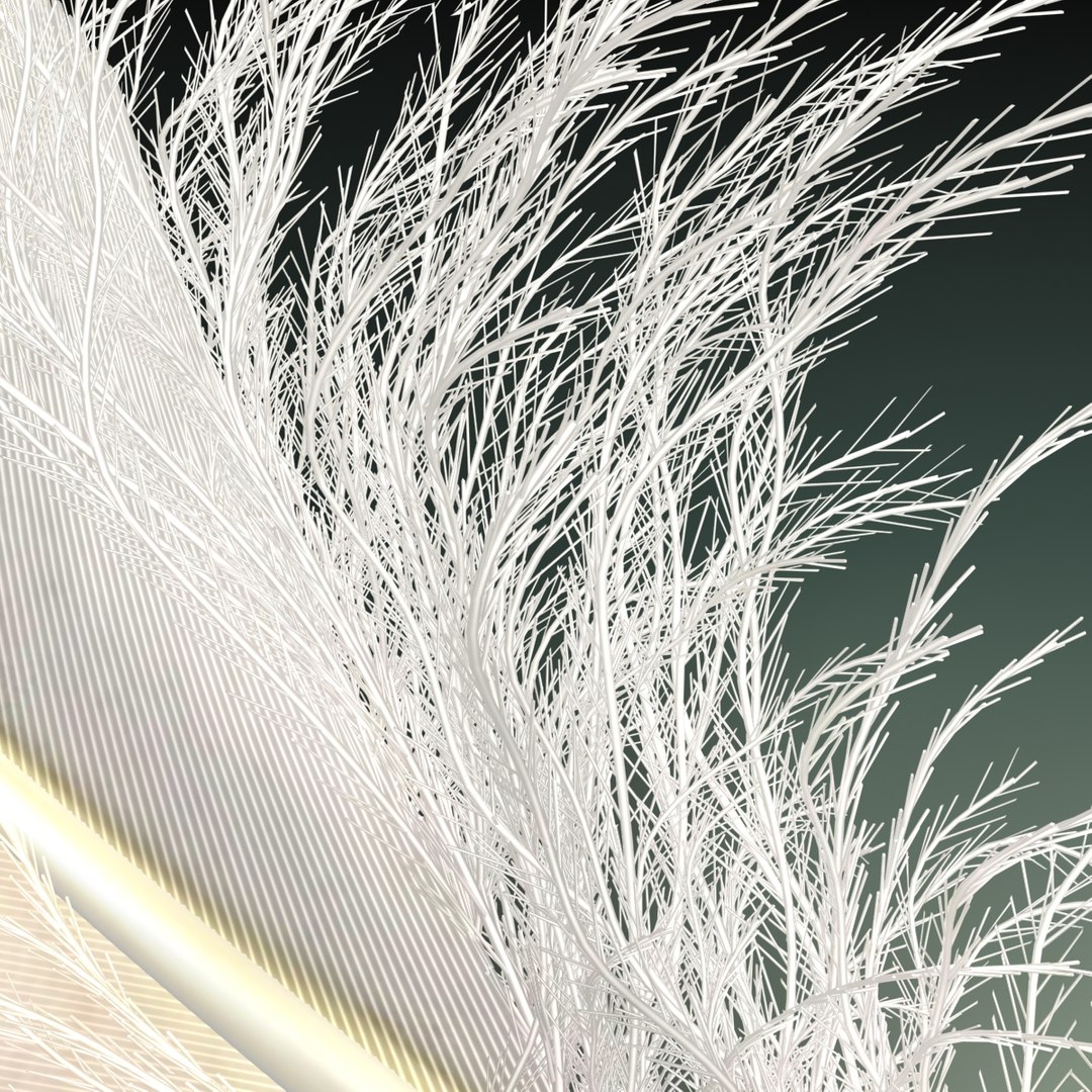 Max Realistic Bird Feather