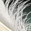Max Realistic Bird Feather
