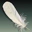 Max Realistic Bird Feather