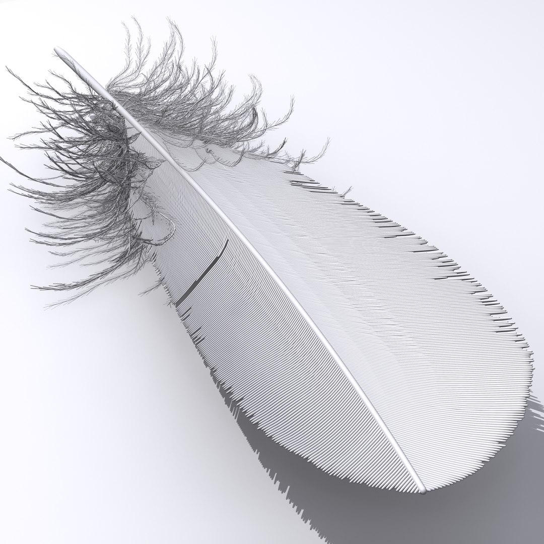 Max Realistic Bird Feather