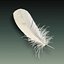 Max Realistic Bird Feather