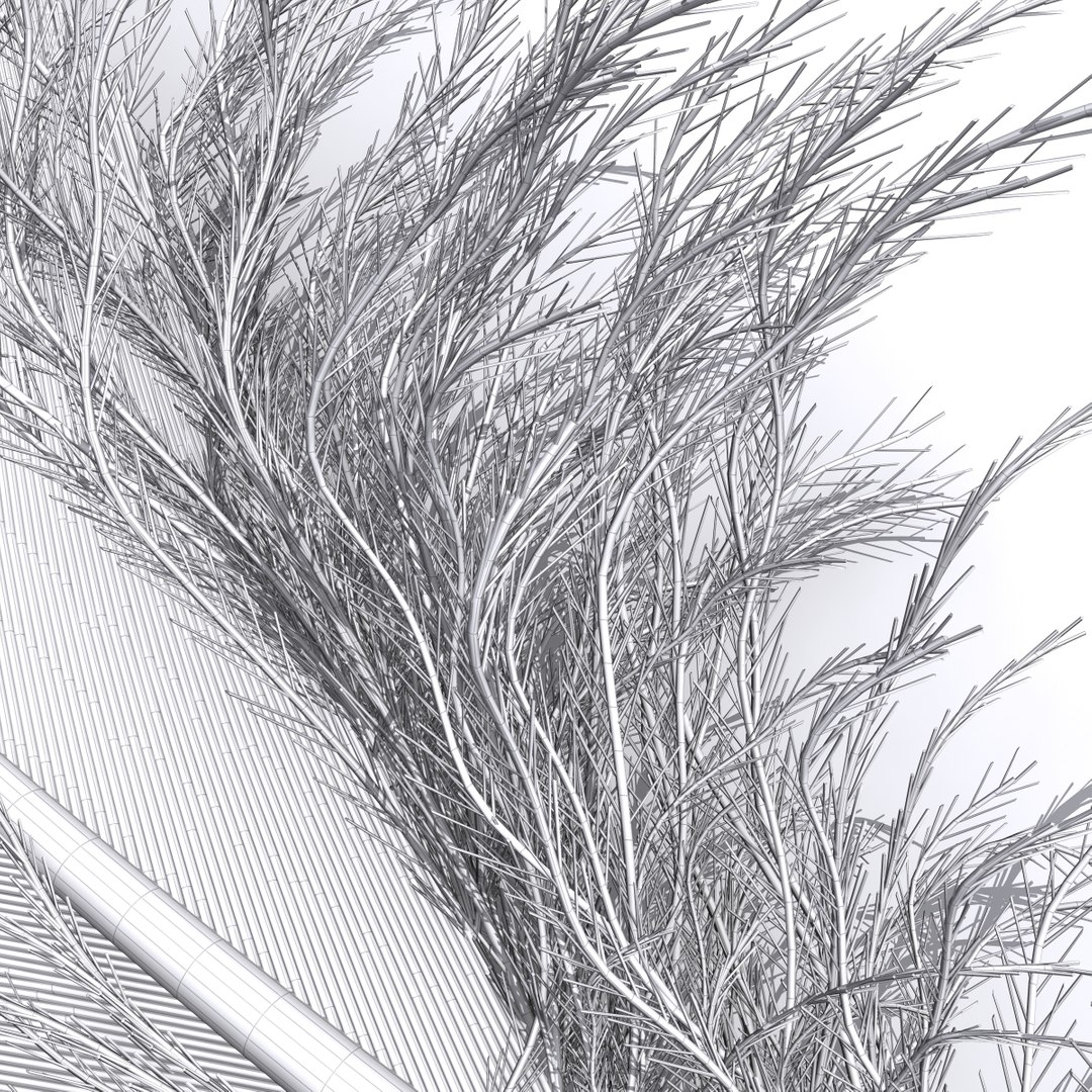 Max Realistic Bird Feather