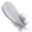 Max Realistic Bird Feather