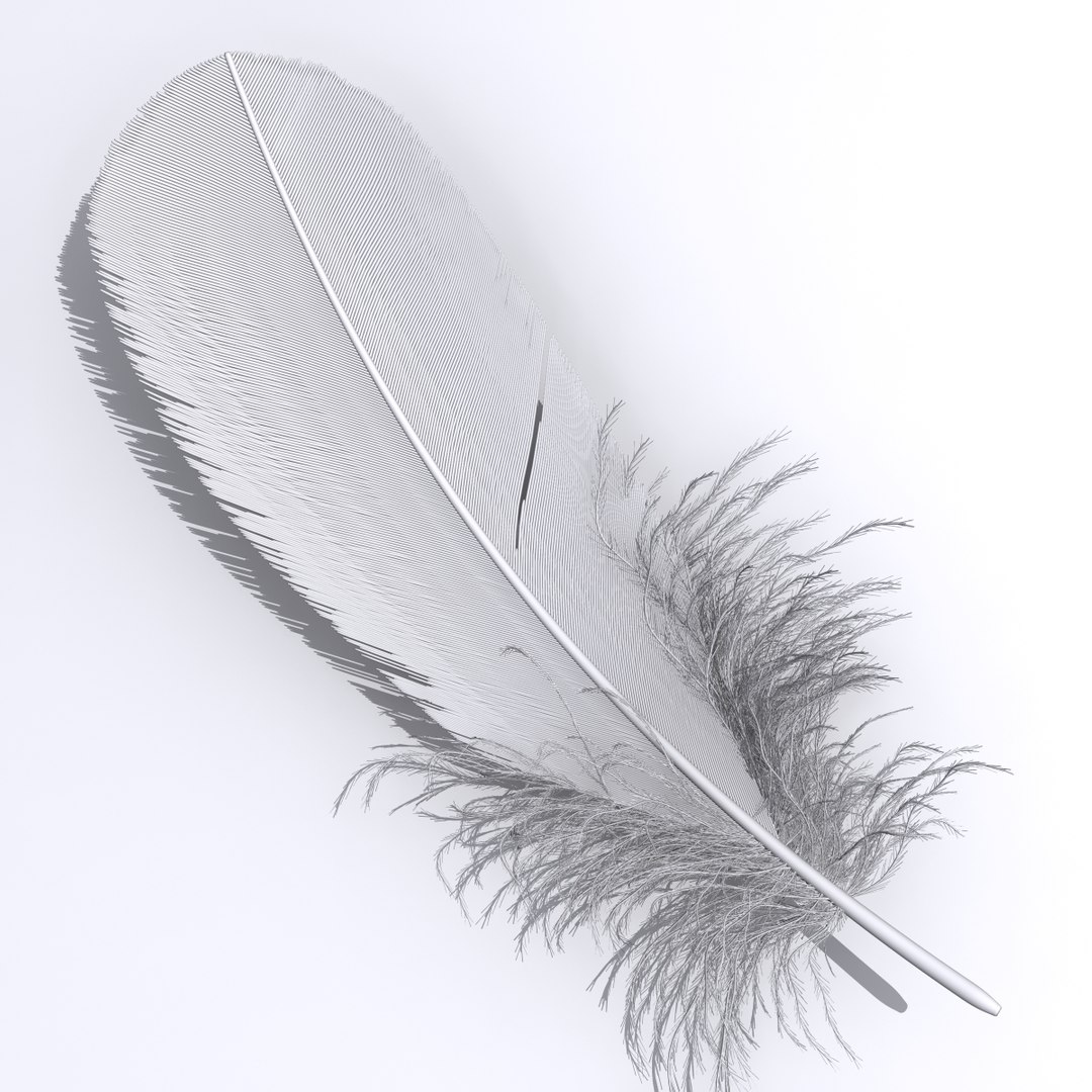 Max Realistic Bird Feather