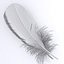 Max Realistic Bird Feather