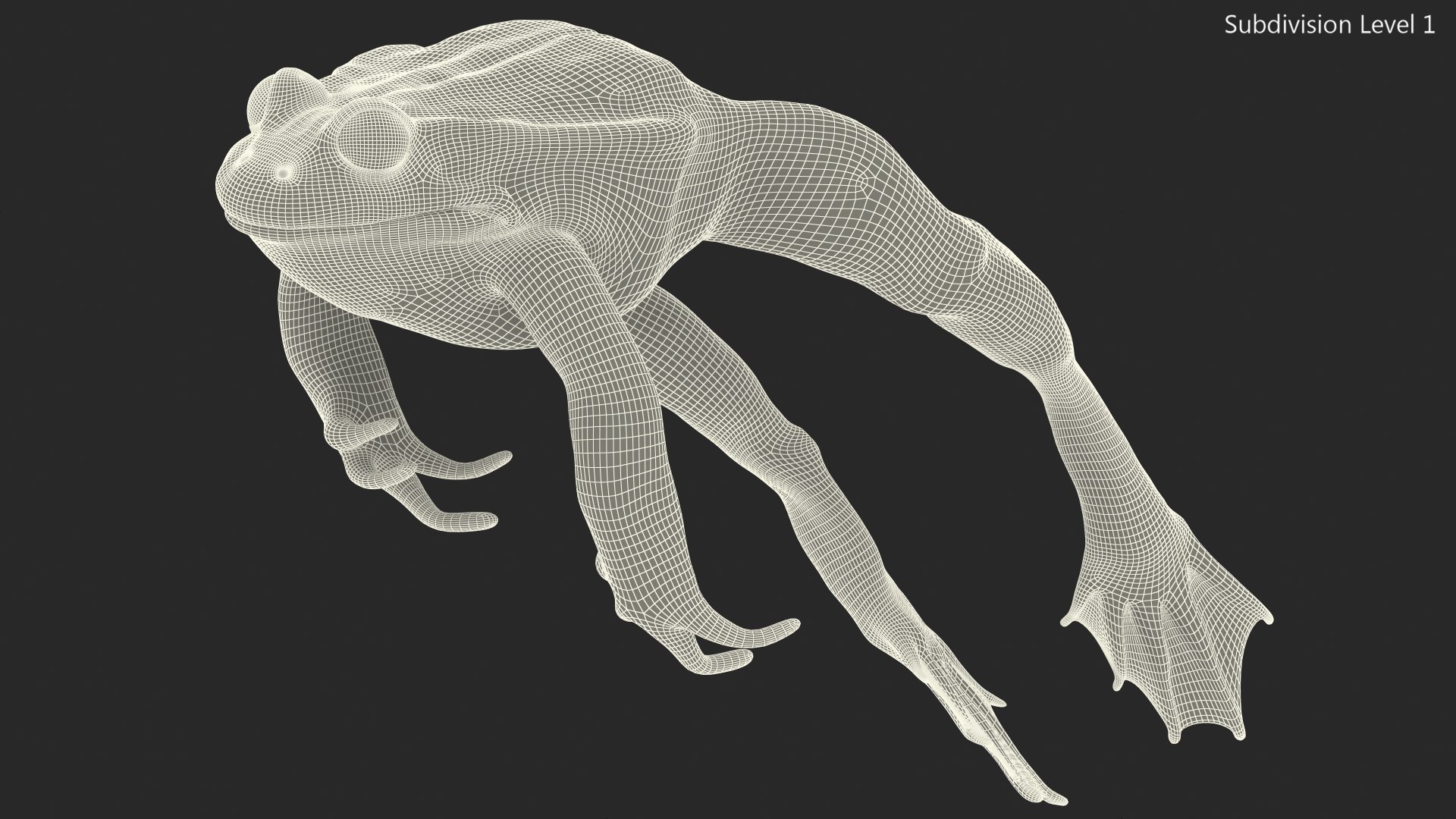 3D Frog Jumping Pose model - TurboSquid 1737531