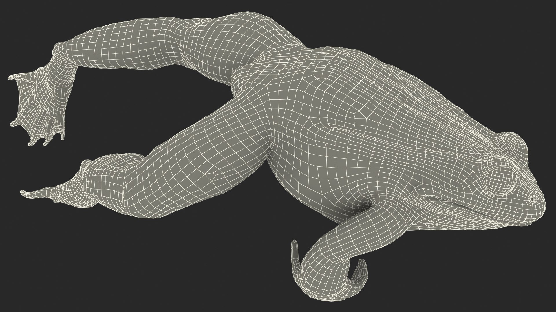 3D Frog Jumping Pose model - TurboSquid 1737531