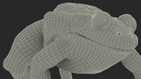 3D Frog Jumping Pose model - TurboSquid 1737531