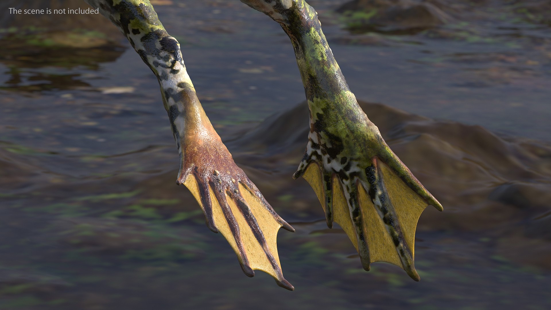 3D Frog Jumping Pose Model - TurboSquid 1737531